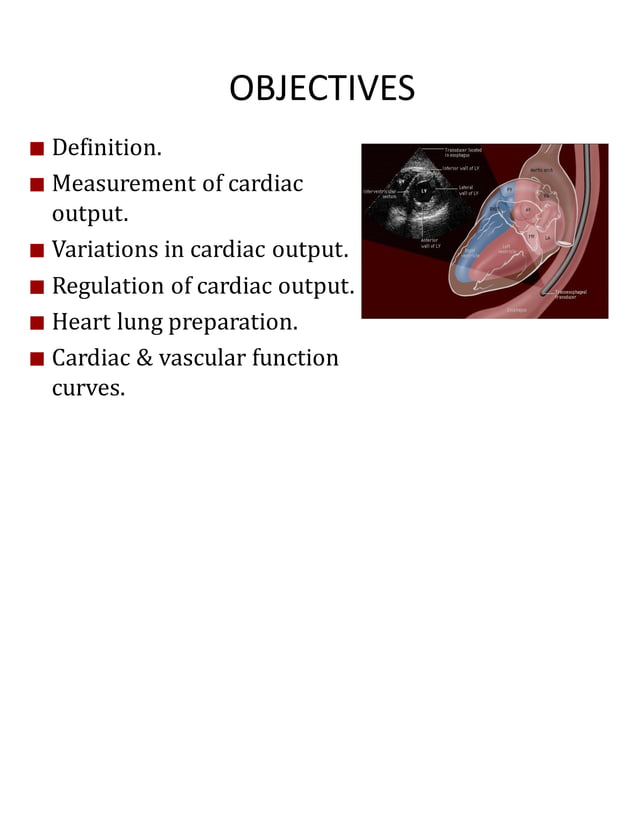 Cardiac Output | PDF | Heart and Cardiovascular Diseases | Diseases and ...