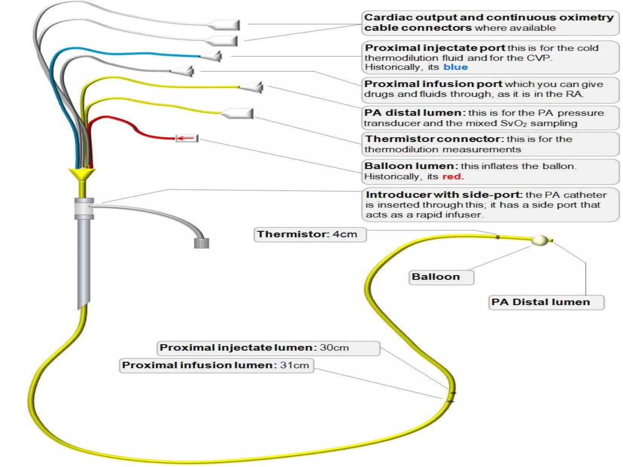 Cardiac output & monitoring | PPT