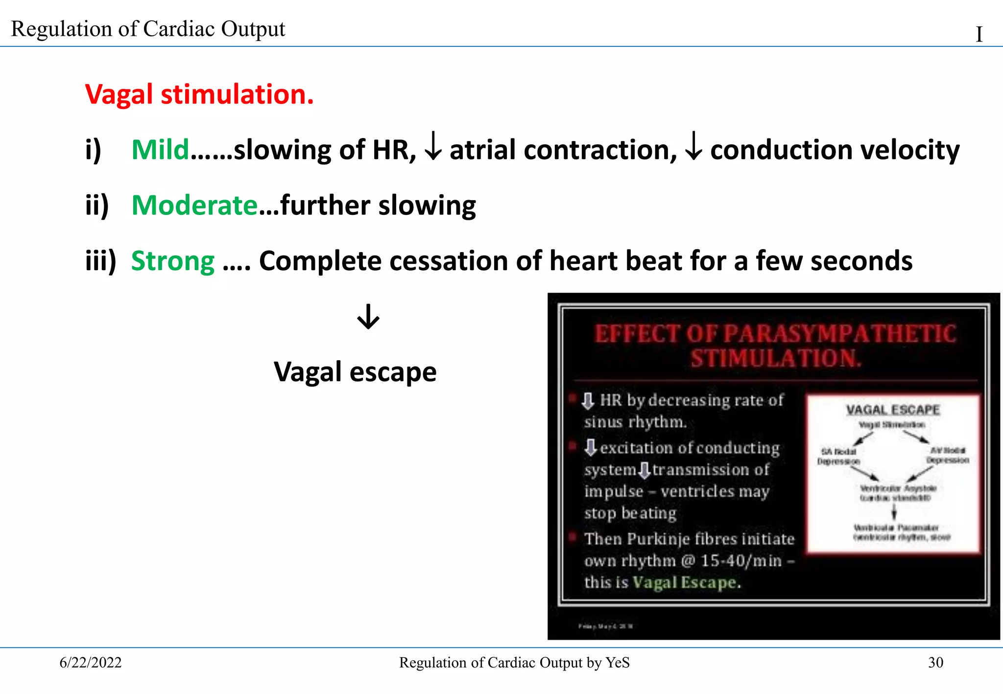 Cardiac Out Put regulation .pdf