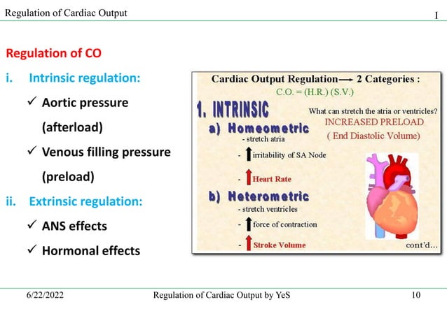 Cardiac Out Put regulation .pdf | Heart and Cardiovascular Diseases ...