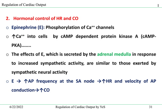 Cardiac Out Put regulation .pdf | Heart and Cardiovascular Diseases ...