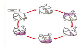 Artificial Cardiac pacemaker |medical device that generates electrical ...