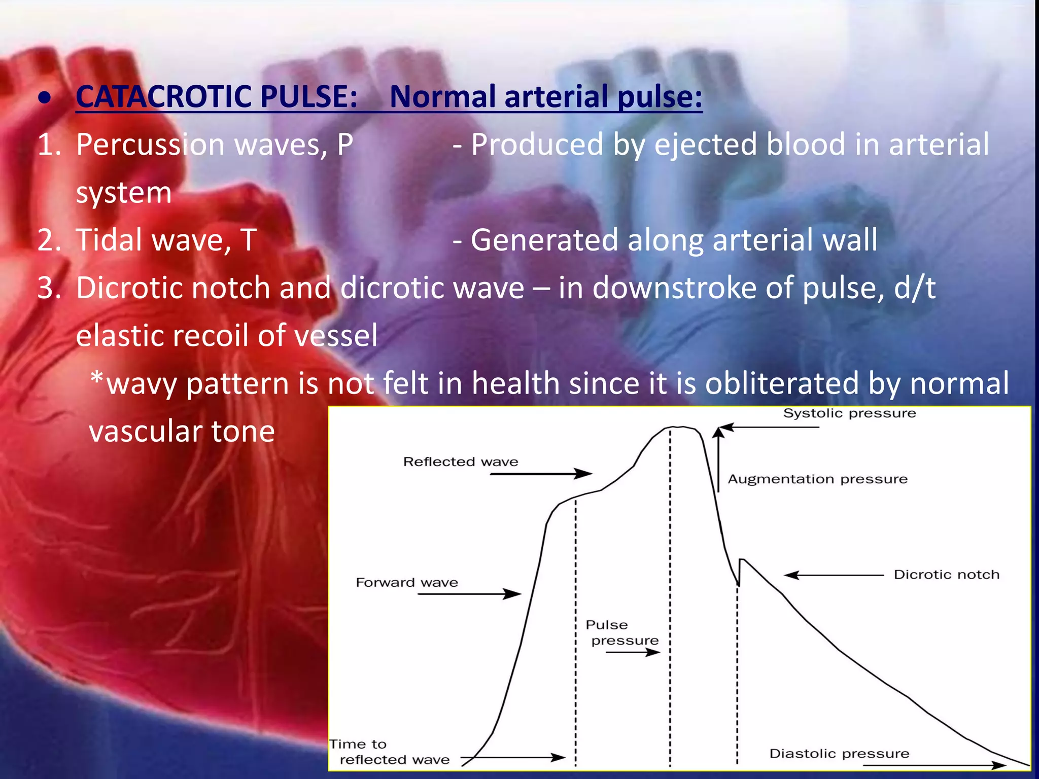 Cardiac physical exam and innocent murmurs presentation | PDF