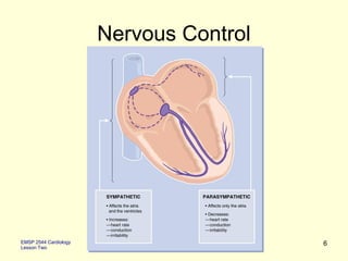 Cardiac physiology | PPT