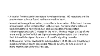 Cardiac physiology | PPTX