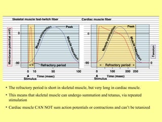 Physiology of Cardiac muscle and function.ppt