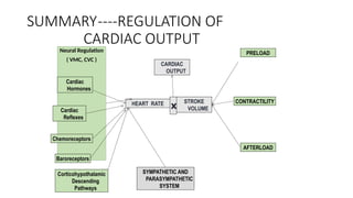 cardiac physiology ,factors affecting cardiac output .pptx
