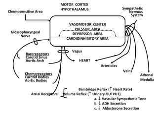 Cardiac physiology dr keith mugarura | PPT