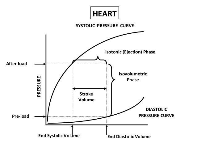 Cardiac Pressure Volume Curve