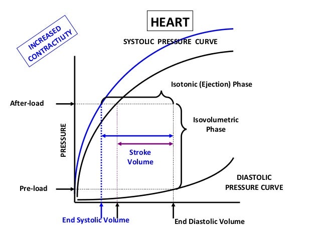 Cardiac physiology dr keith mugarura