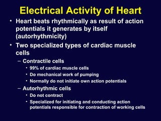 Cardiac physiology | PPT