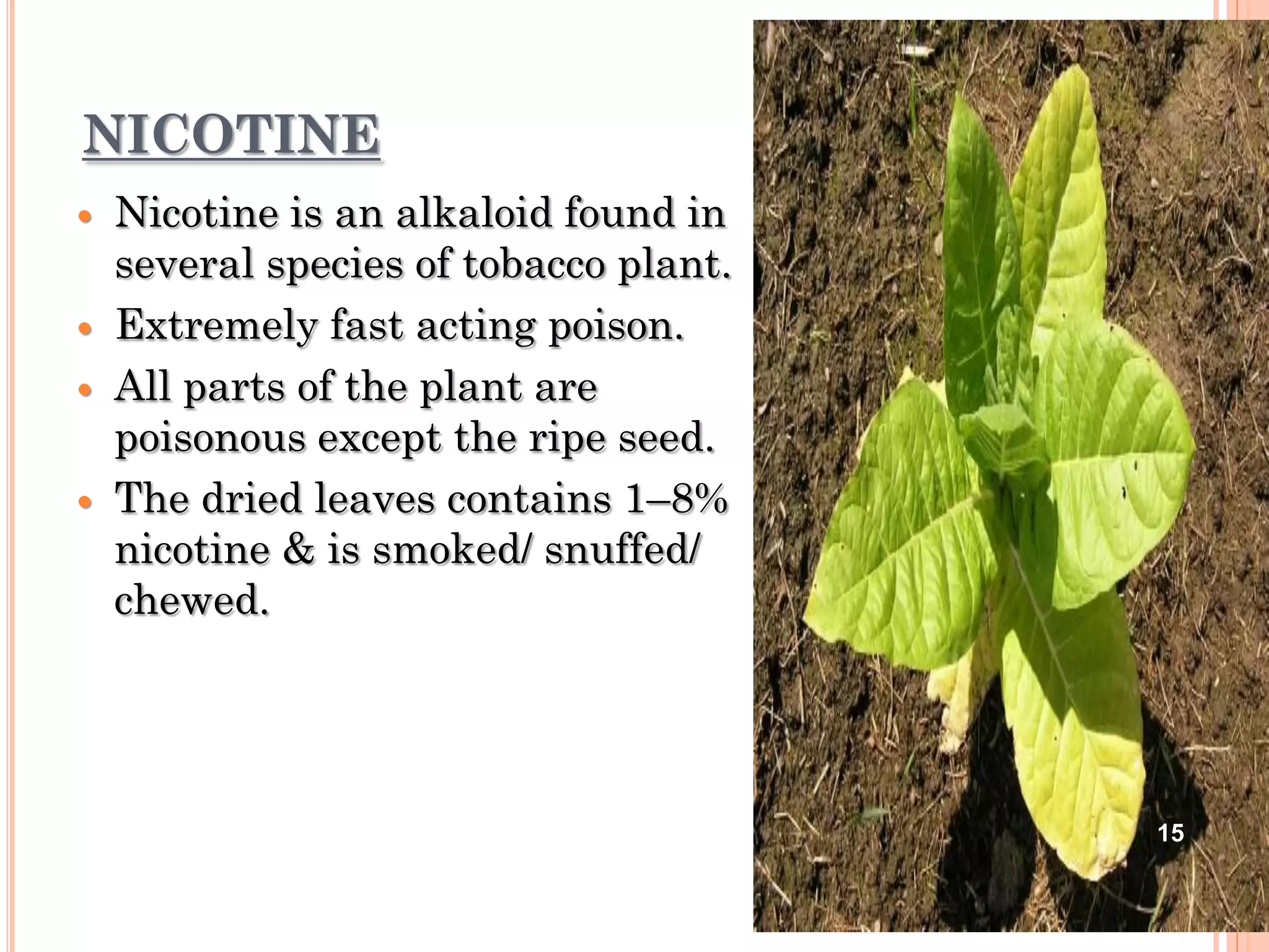 Cardiac poisons | PDF