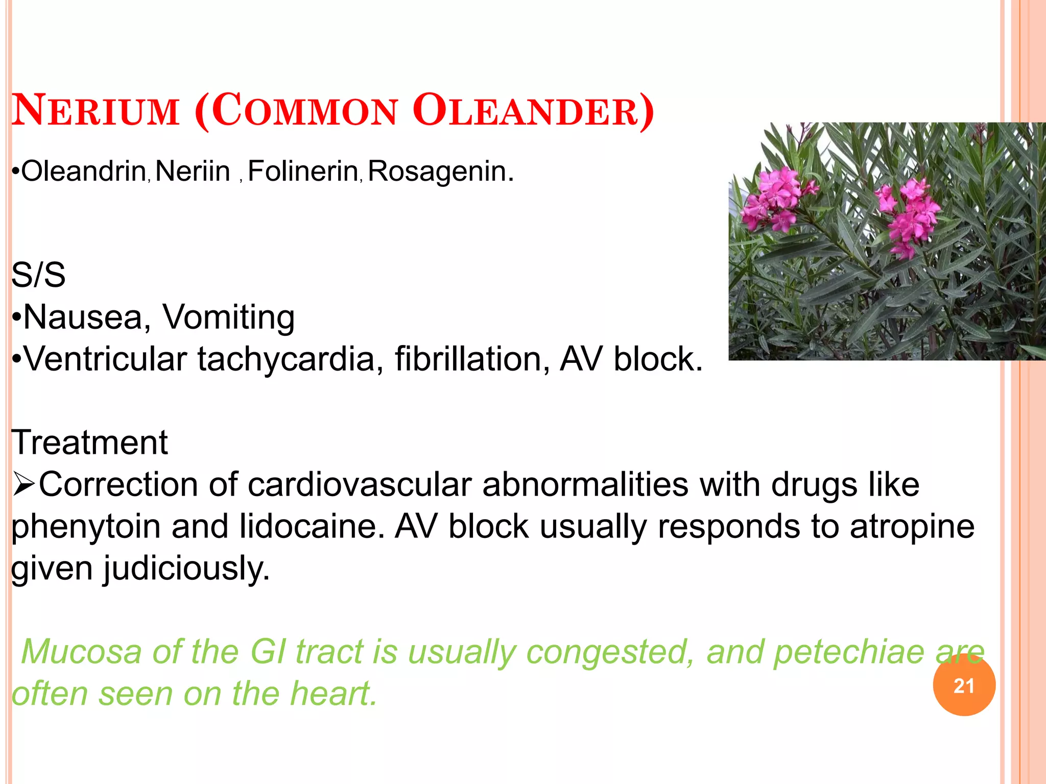 Cardiac poisons | PDF