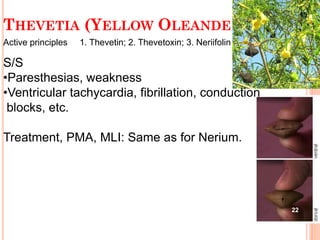 Cardiac poisons | PDF