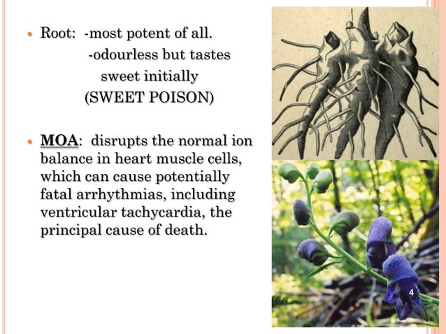 Cardiac poisons | PDF