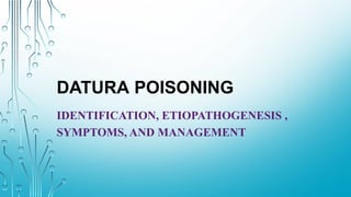 CARDIAC POISONS its mechanism of action , clinical effects and ...