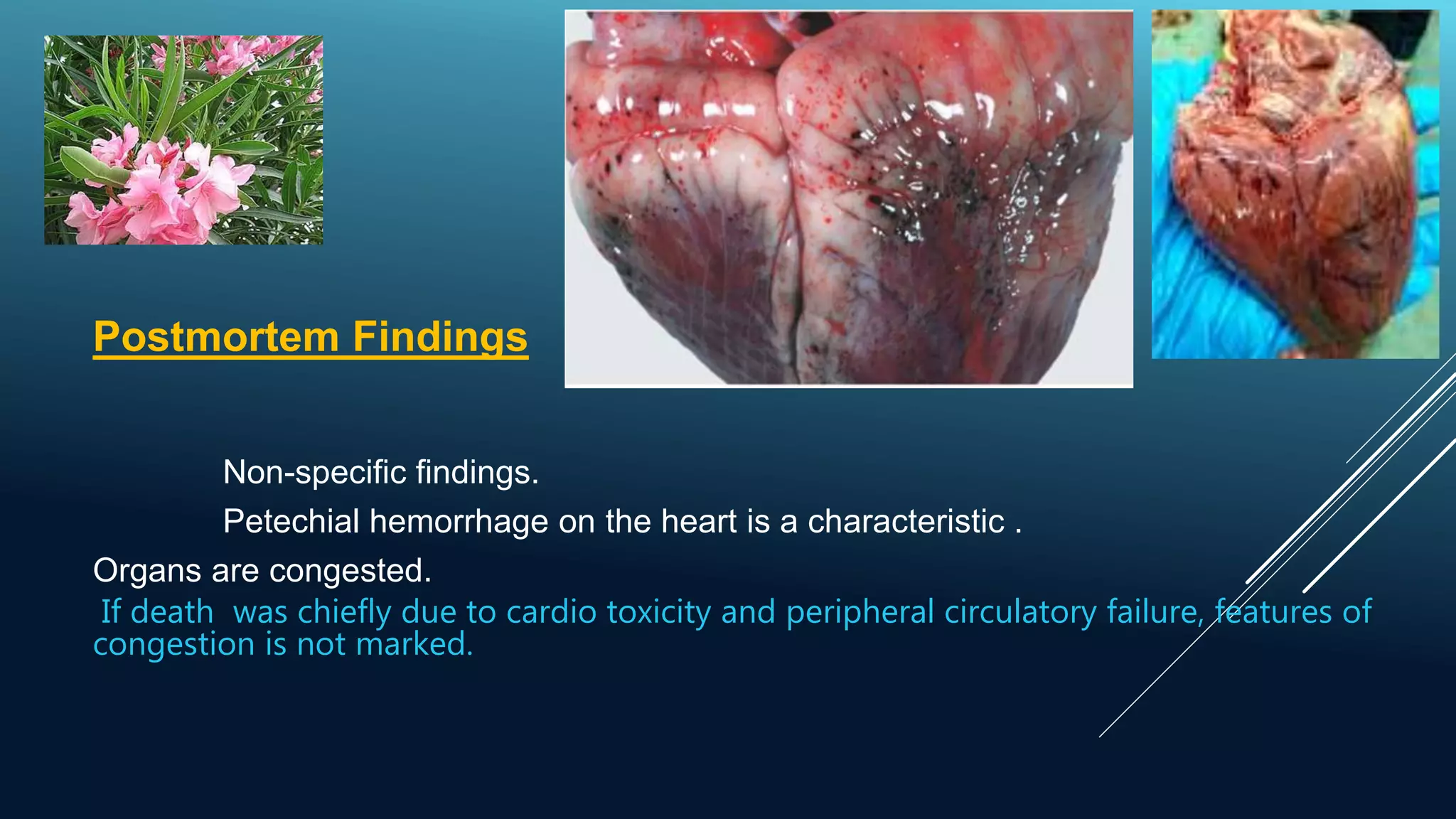 Cardiac poisons forensic aspects part 2 mb singh 2020 | PPTX