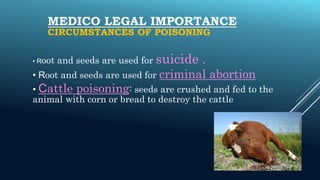 Cardiac poisons forensic aspects part 2 mb singh 2020 | PPTX