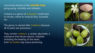 Cardiac poisons forensic aspects part 2 mb singh 2020 | PPTX