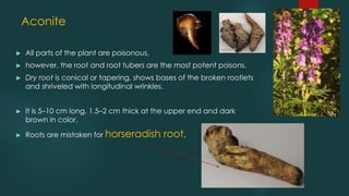 Cardiac poisons forensic aspects part1 | PPTX