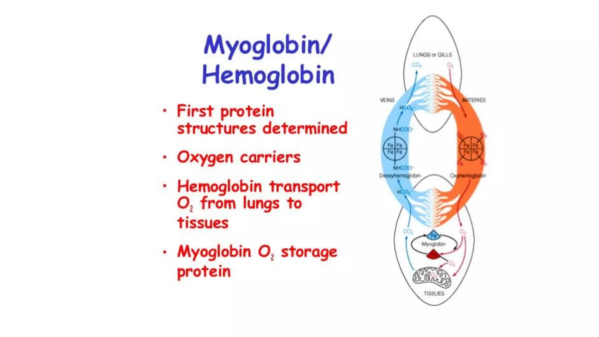Cardiac profile tests(biochemical ) | PDF