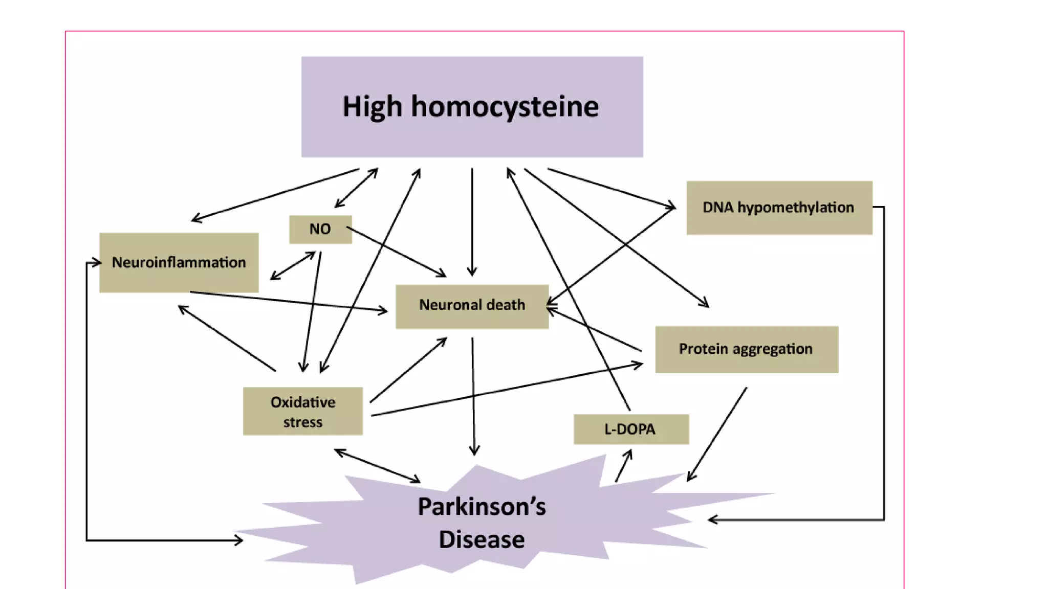 Cardiac profile tests(biochemical ) | PDF