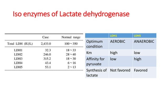 Cardiac profile tests(biochemical ) | PDF