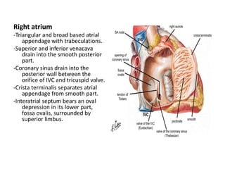 Radiographic approach to cardiac enlargement | PPTX