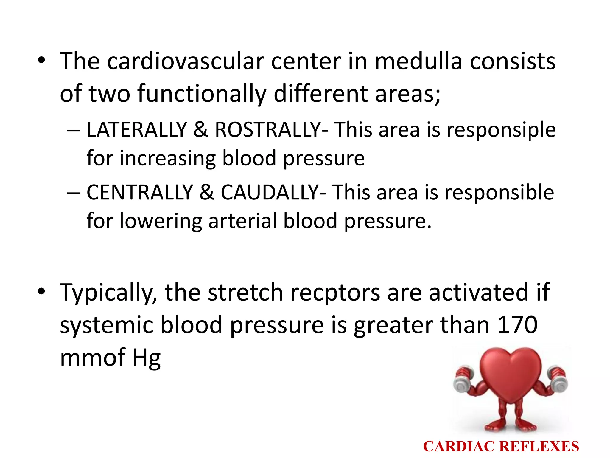 Cardiac reflexes & Anaesthetic Implications | PPTX
