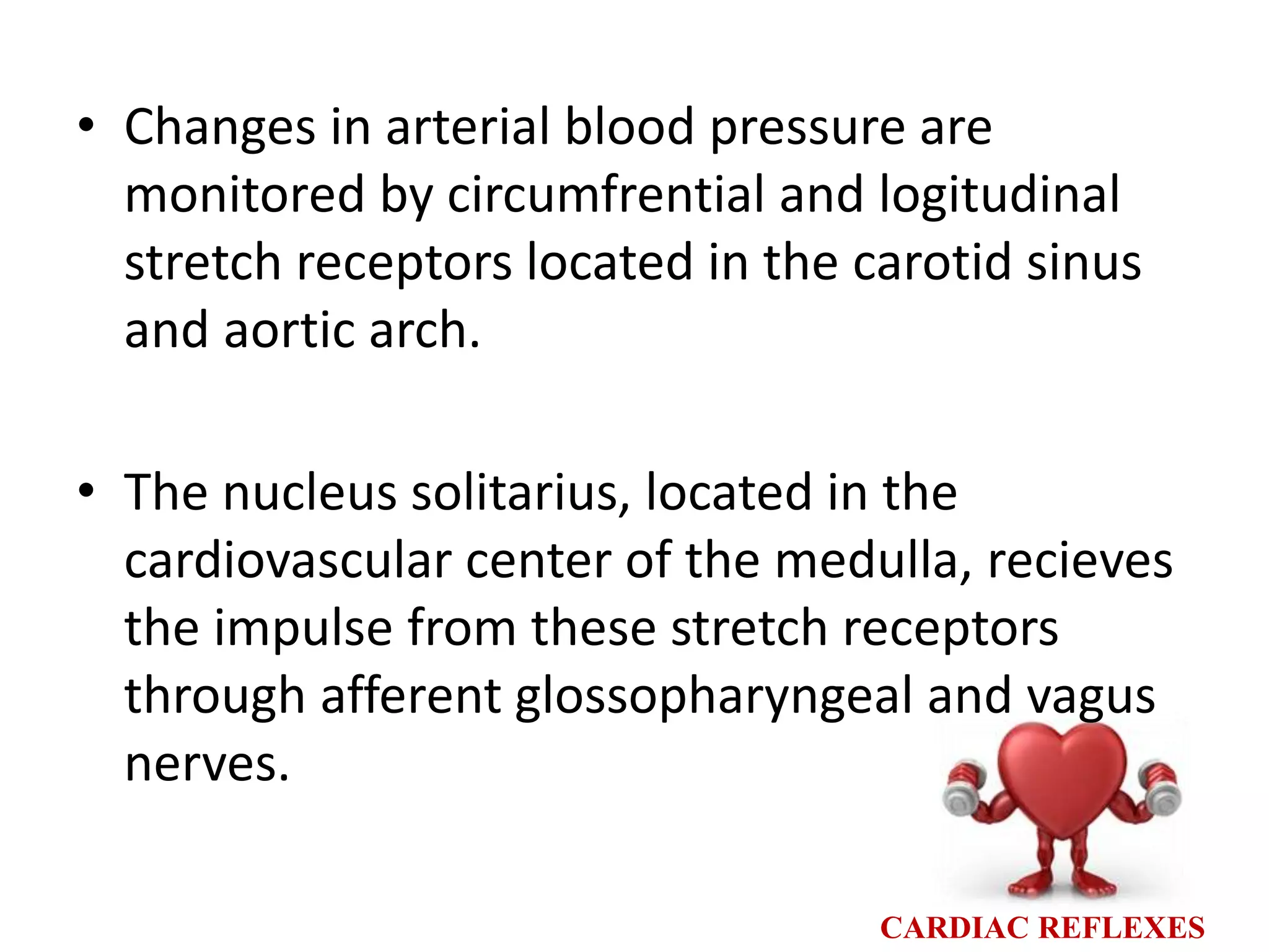 Cardiac reflexes & Anaesthetic Implications | PPTX