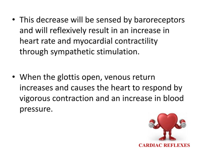 Cardiac reflexes & Anaesthetic Implications | PPTX | Heart and ...