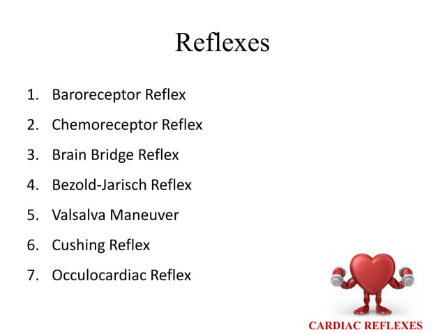 Cardiac reflexes & Anaesthetic Implications | PPTX | Heart and ...