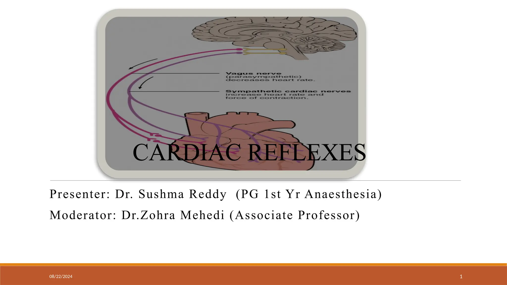 CARDIAC REFLEXES ppt cardiac reflexes .pptx
