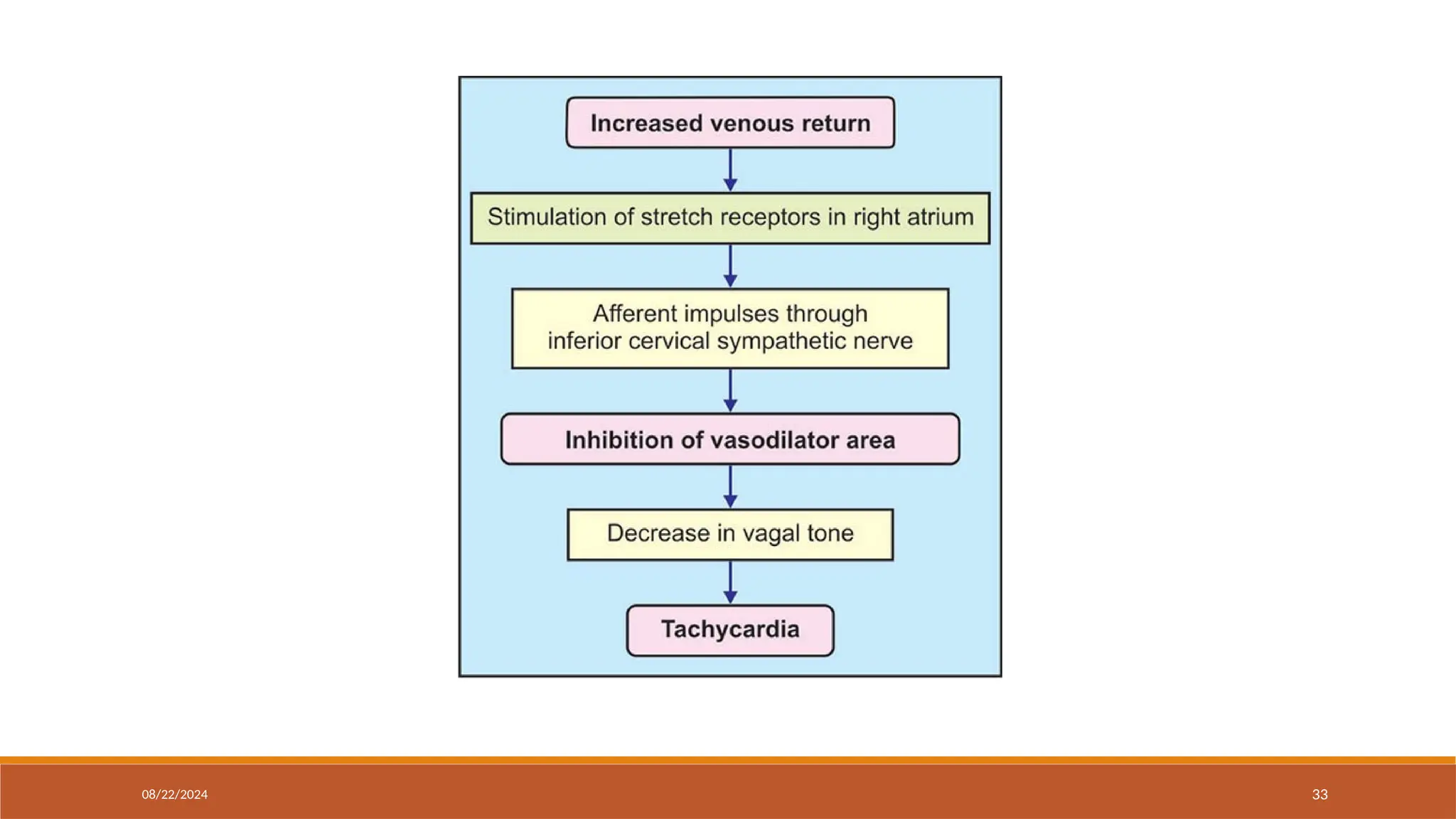 CARDIAC REFLEXES ppt cardiac reflexes .pptx