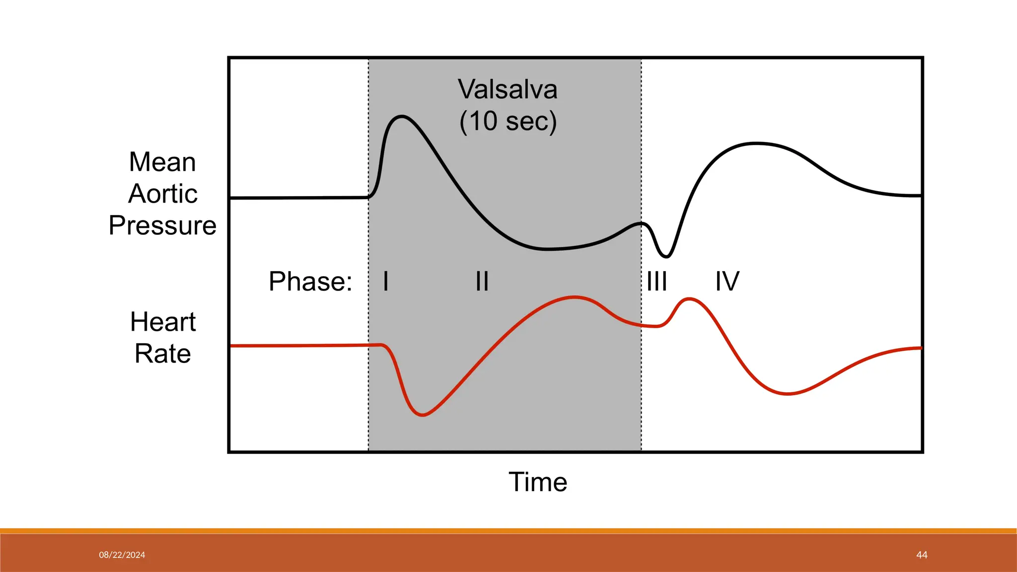 CARDIAC REFLEXES ppt cardiac reflexes .pptx