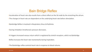 CARDIAC REFLEXES ppt cardiac reflexes .pptx