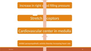 CARDIAC REFLEXES ppt cardiac reflexes .pptx