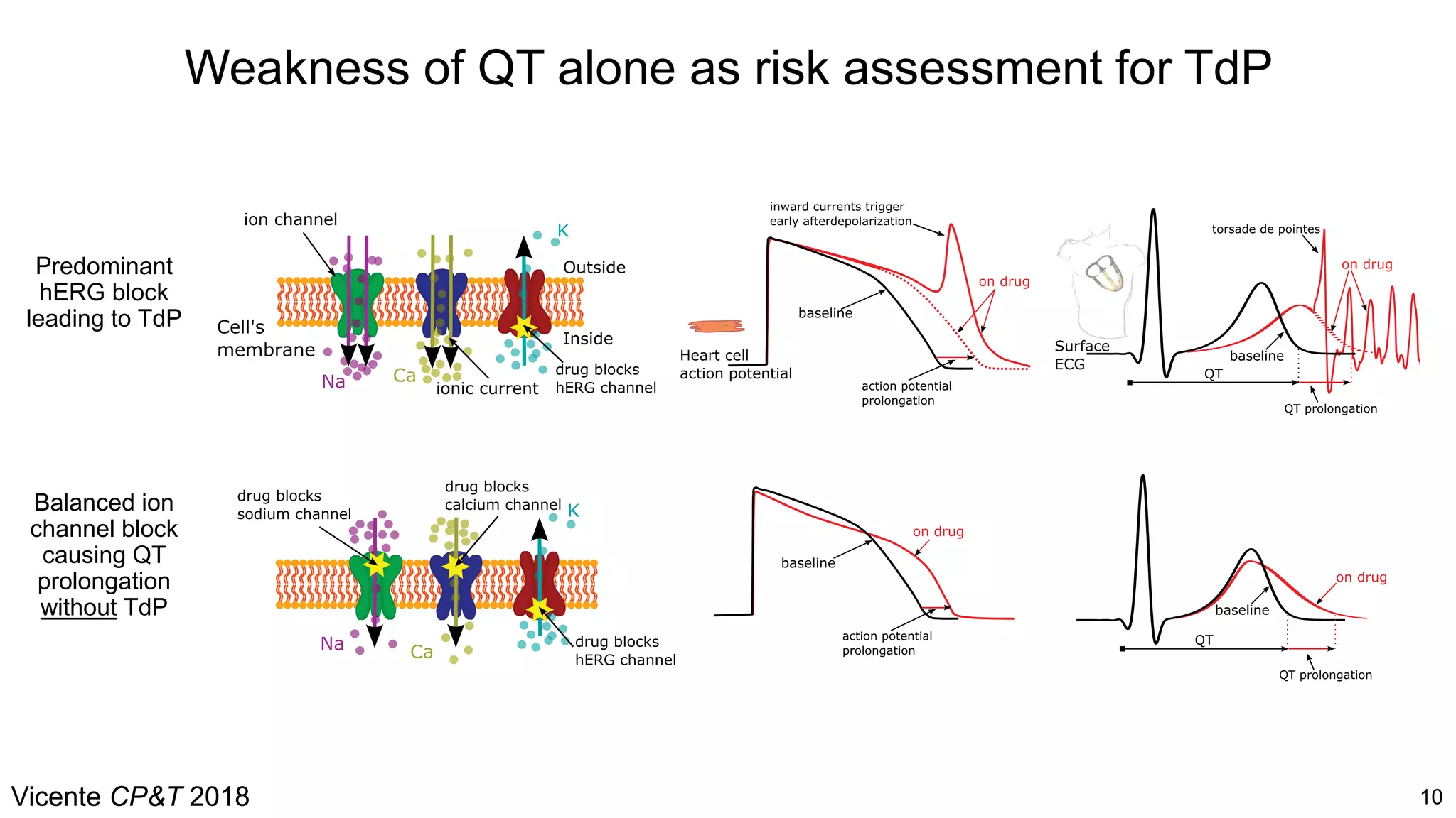 Cardiac Safety in Drug Development | PPT