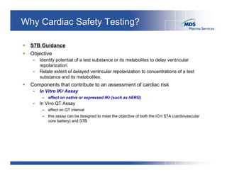 Cardiac Safety Screening Assays | PDF | Heart and Cardiovascular ...