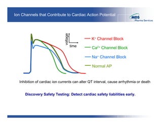 Cardiac Safety Screening Assays | PDF | Heart and Cardiovascular ...