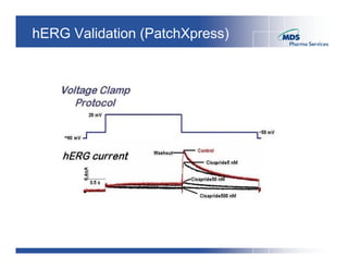 Cardiac Safety Screening Assays | PDF | Heart and Cardiovascular ...