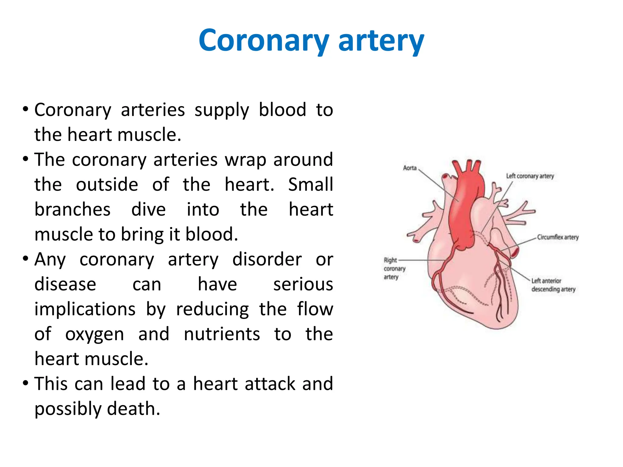 Cardiac Stent,valve,heart, disease, heart failure | PPT