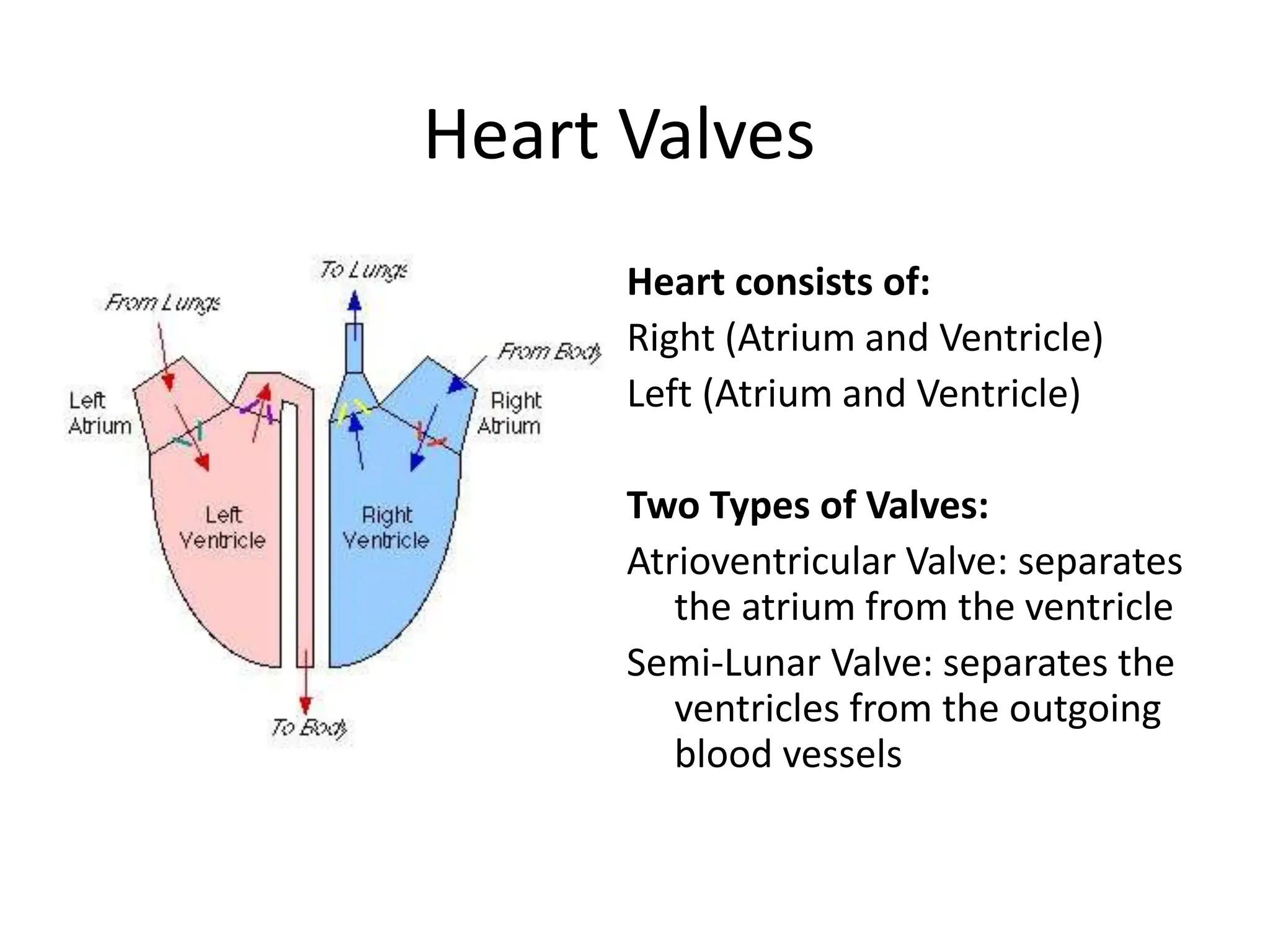 Cardiac Stent,valve,heart, disease, heart failure | PPT