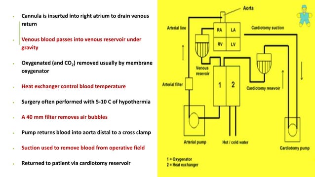 Cardiovascular surgeries-CABG,TYPES,CARDIOPULMONARY BYPASS MACHINE | PPTX