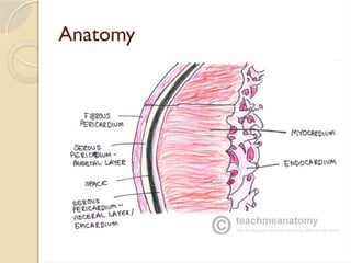 CARDIAC TAMPONADE IN CARDIOTHORACIC SURGERY.pptx