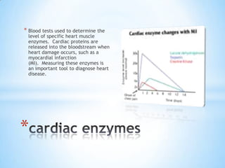Cardiac testing procedures (1) | PPT