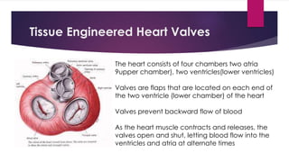 Cardiac tissue engineering | PPTX