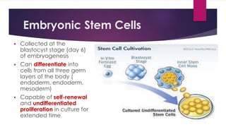 Cardiac tissue engineering | PPTX