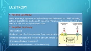 Cardiac Tropism | PPTX