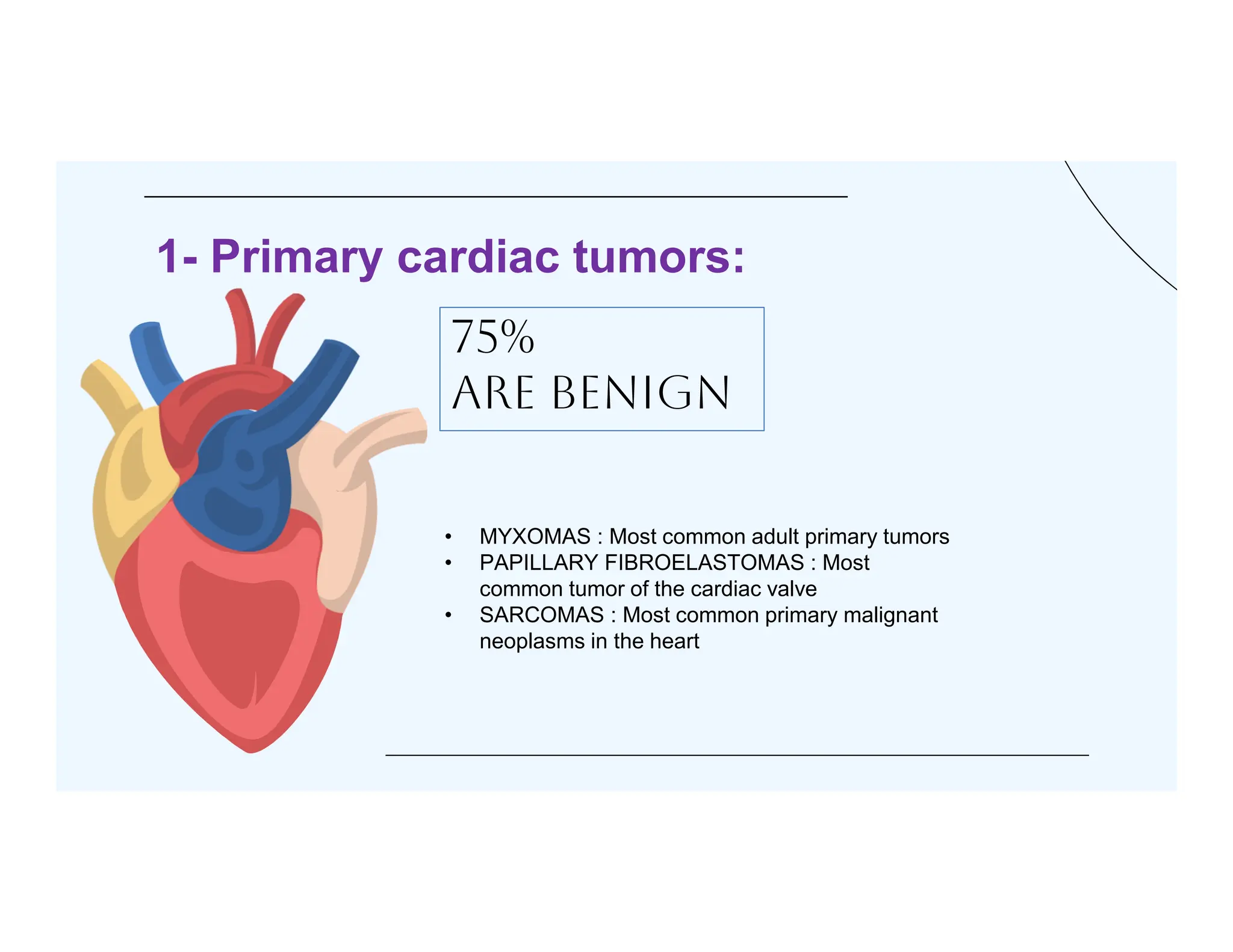 Cardiac Tumors for medical students Jane Nader | PDF